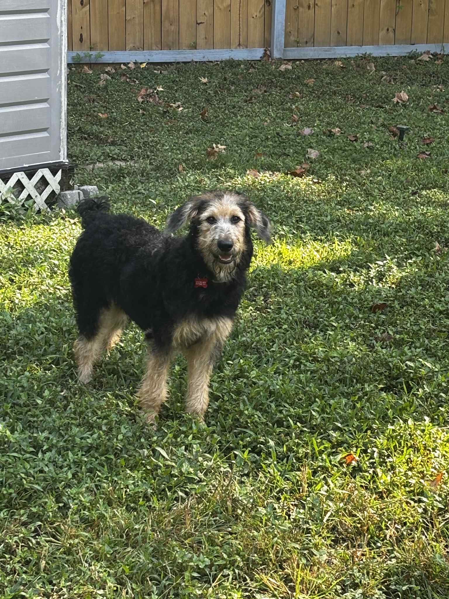 Critters 4 U Rescue